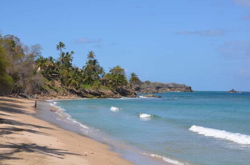 Tobago: Half-Day Highlights Tour - Key Points