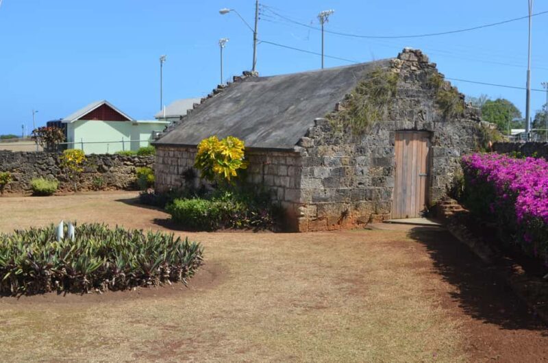 Tobago: Half-Day Highlights Tour - What to Expect on the Tour