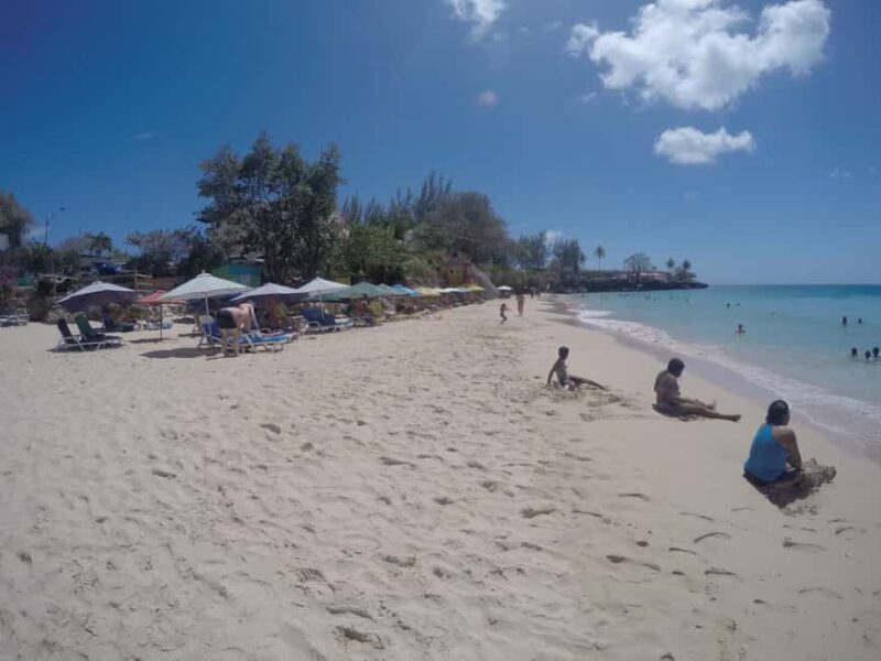 Tobago: Half-Day Highlights Tour - FAQs