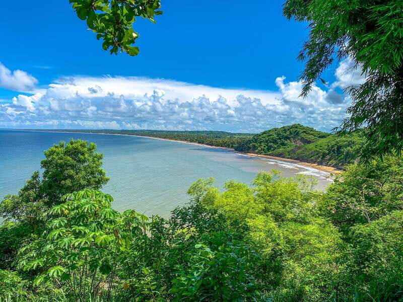 Tobago: Island Circle - An In-Depth Look at the Tobago Island Circle Tour