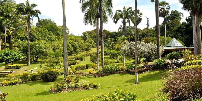 Tobago: Island Circle - The Sum Up: Who Will Love This Tour?