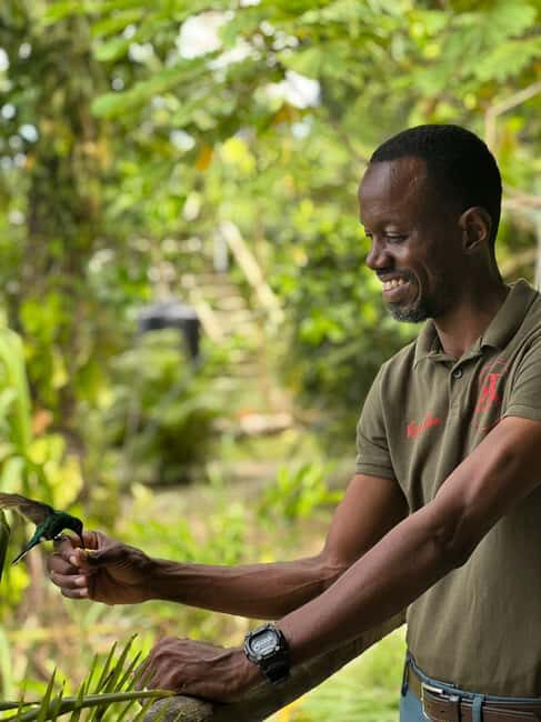 Tobago: Island Tour with Rainforest Drive and Scenic Lookout - Authentic Experiences That Matter