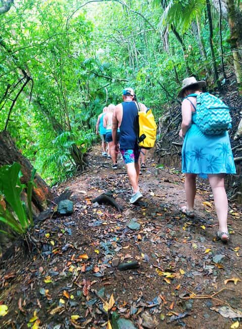 Tobago: Little Tobago Bird Sanctuary Visit and Boat Tour - The Value Proposition