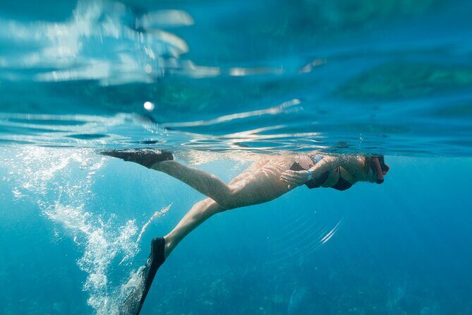 Tobias Icacos Half Day Tour - The Experience: Pros and Cons