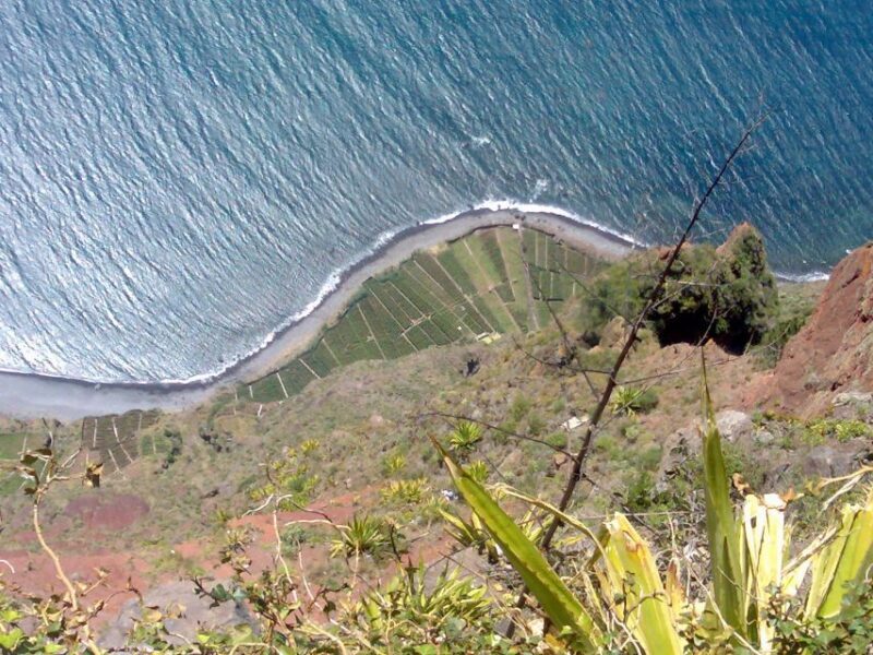 Toboggan Ride & Madeira Wine Tasting Tour - Key Points