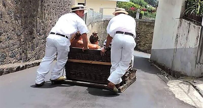 Toboggan Ride & Madeira Wine Tasting Tour - Exploring the Experience: A Detailed Look