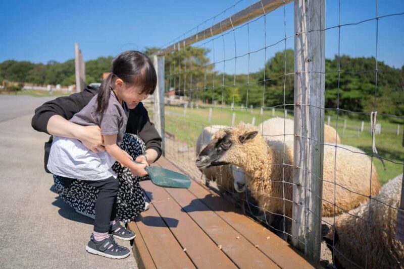 Tochigi: Nasu Animal Kingdom Entry Ticket - An Authentic Day in Nasu’s Animal World