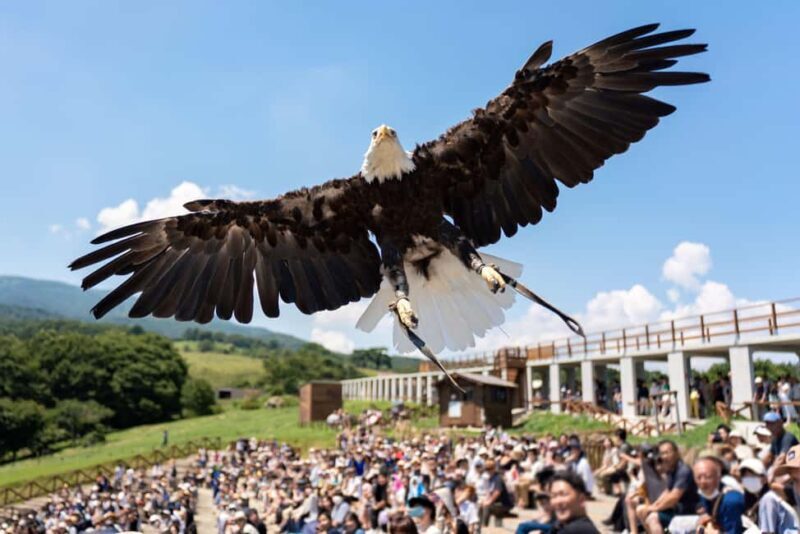 Tochigi: Nasu Animal Kingdom Entry Ticket - Final Thoughts