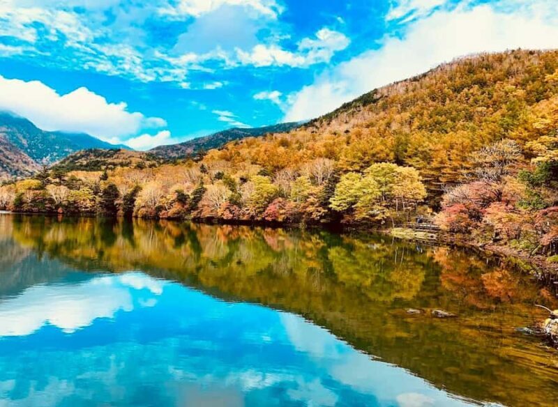 Tochigi: Nikko City, Waterfalls, & Ropeway Tour - Key Points