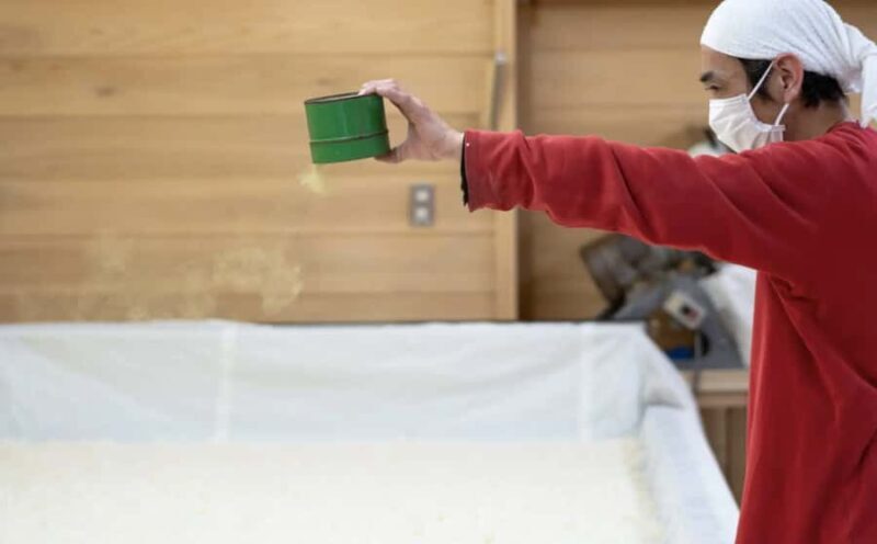 Tochigi: Nishibori Sake Brewery Tour and Tasting - The Practicalities: What You Need to Know