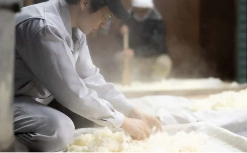 Tochigi: Nishibori Sake Brewery Tour and Tasting - Who Will Appreciate This Tour?