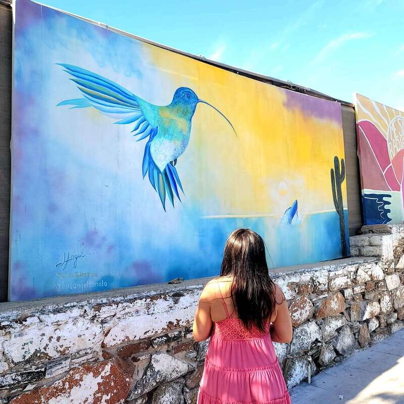 Todos Santos: Art & Culture Experience by Mexican Artist - A Thoughtful Look at the Itinerary