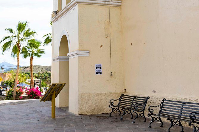 Todos Santos City Tour - What to Expect on the Todos Santos City Tour