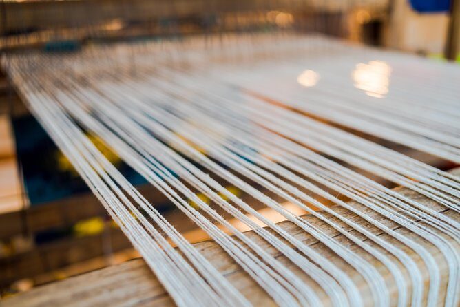 Todos Santos Day Trip from Cabo San Lucas - Key Points