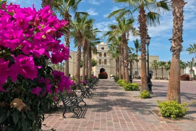 Todos Santos Encounter Tour - Transportation and Group Dynamics