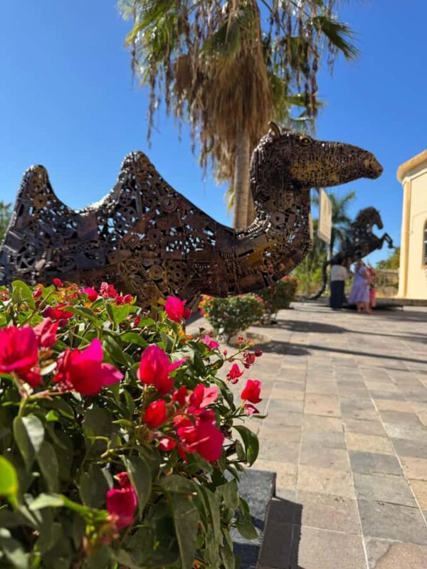 Todos Santos: Guided hike and sunset at Playa Cerritos - Frequently Asked Questions