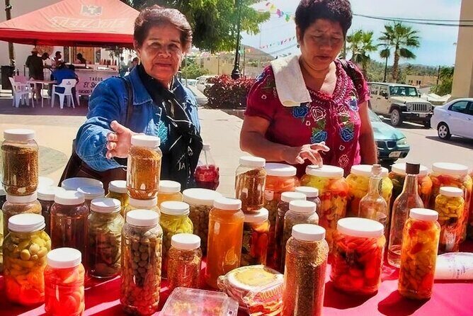 Todos Santos Magical Town Day-Trip - FAQs