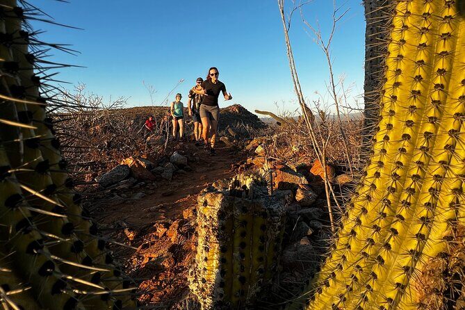 Todos Santos Sunset Hike - Exploring the Day: What to Expect on the Tour