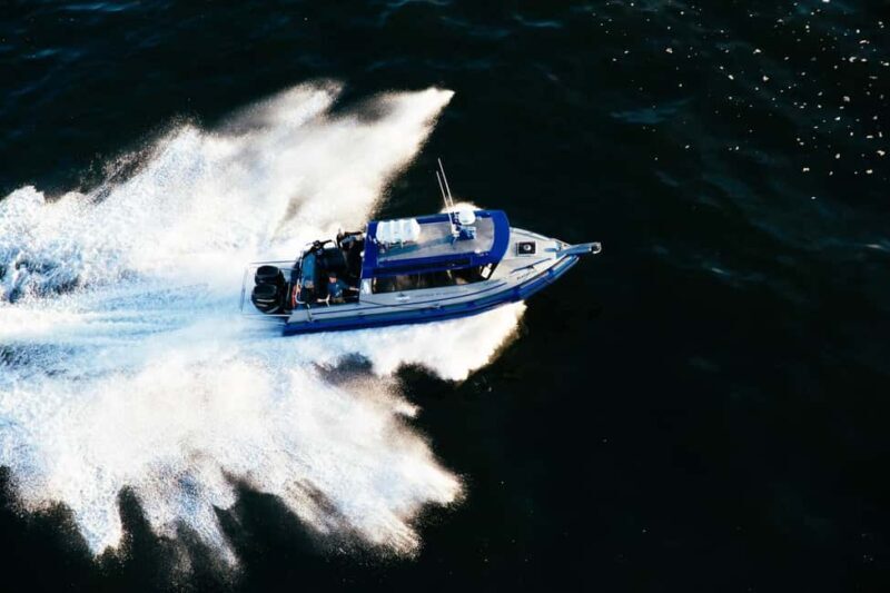 Tofino: Covered Boat Winter Wildlife Watching Tour - The Value Proposition