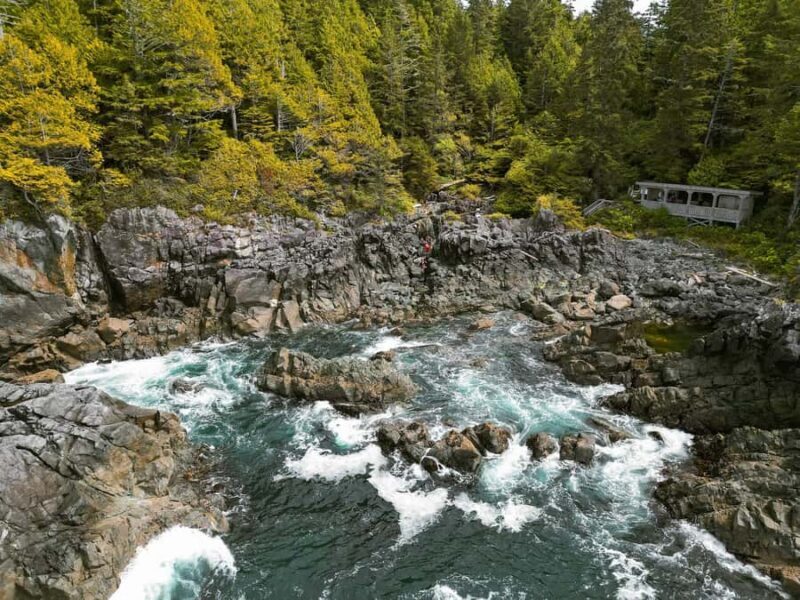 Tofino: Hot Springs Cove Tour with Wildlife Cruise - Introduction and Overall Impression