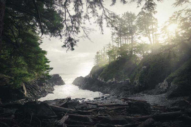 Tofino: Hot Springs Cove Tour with Wildlife Cruise - Authentic Traveler Experiences