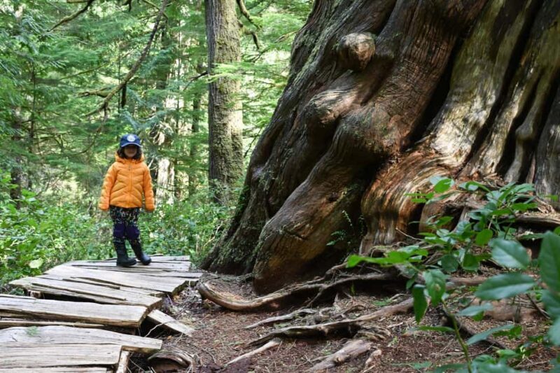 Tofino: Private Boat Tour with Big Tree Trail & Crabbing - Setting Expectations for Your Tofino Boat Tour
