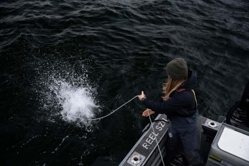 Tofino: Private Boat Tour with Big Tree Trail & Crabbing - Why You Should Consider This Tour