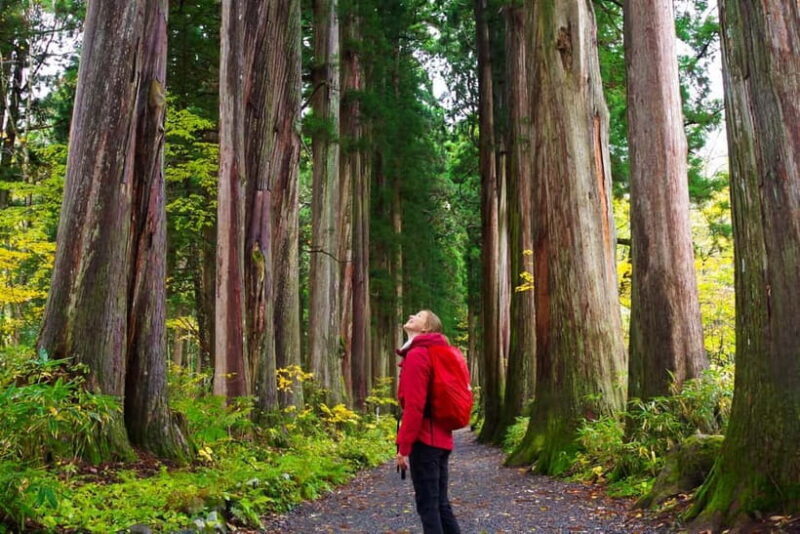 Togakushi: Sacred Forest Walk & Soba Traditions - Discovering Togakushi: Sacred Forest Walk & Soba Traditions