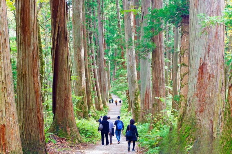 Togakushi: Sacred Forest Walk & Soba Traditions - What to Expect & Tips for Travelers
