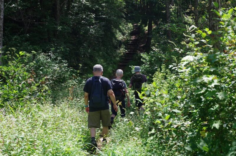 Togakushi: Sacred Forest Walk & Soba Traditions - The Sum Up: Who Will Love This Tour?