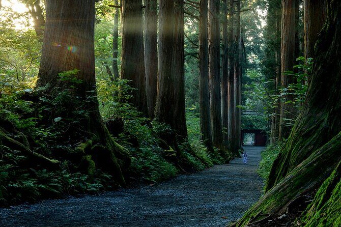 Togakushi Shrine Private Tour with English Local Guide - Key Points