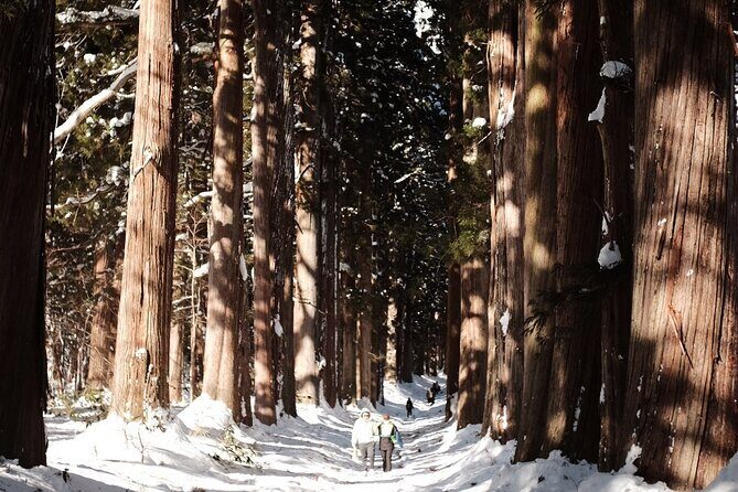 Togakushi Shrine Private Tour with English Local Guide - FAQs
