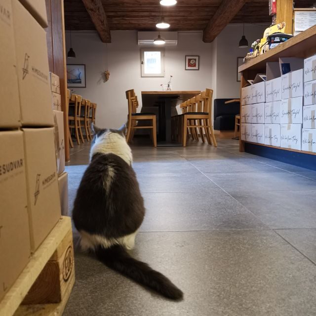 Tokaj: Classic Wine Tasting - Final Thoughts: Is It Worth It?