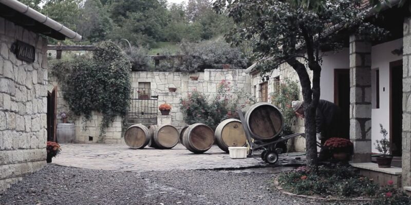 Tokaj Private Day Tour from Budapest - Introduction
