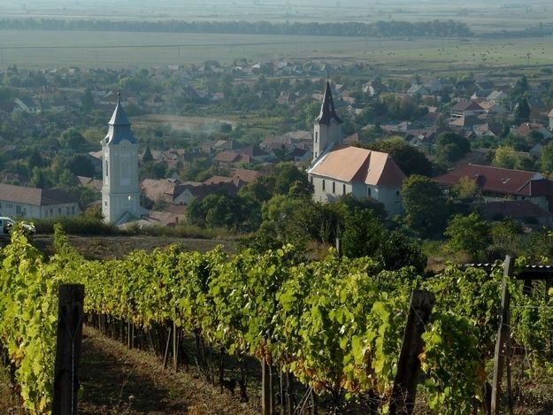 Tokaj Private Day Tour from Budapest - Why This Tour Offers Great Value