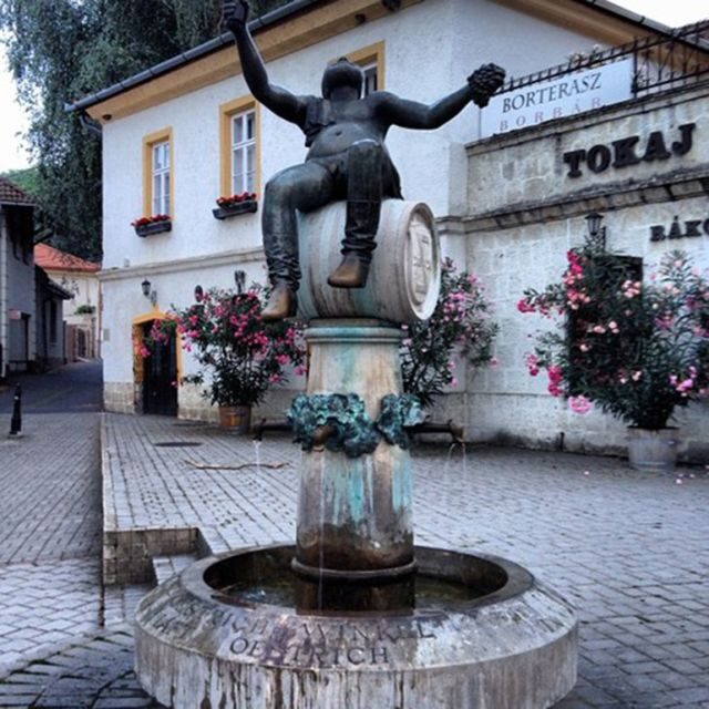 Tokaj Private Day Tour from Budapest - The Sum Up