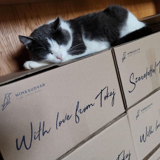 Tokaj: Vineyard Tour & Tasting - Final Thoughts
