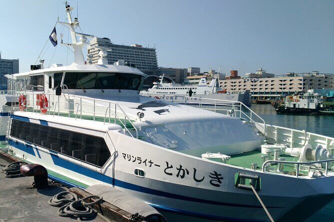 Tokashiki Island Day Trip from Naha - The Sum Up