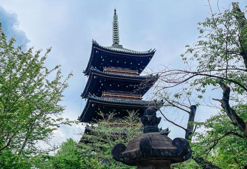 Tokio A: Tour de la ciudad en Español - Spanish - An In-Depth Look at the Experience