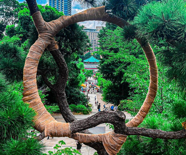 Tokio A: Tour de la ciudad en Español - Spanish - Authentic and Practical Insights from Reviews