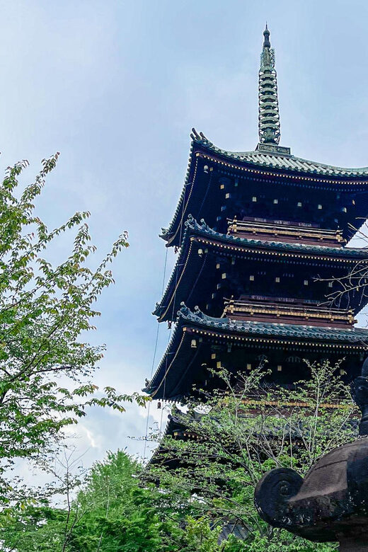 Tokio A: Tour de la ciudad en Español - Spanish - FAQs