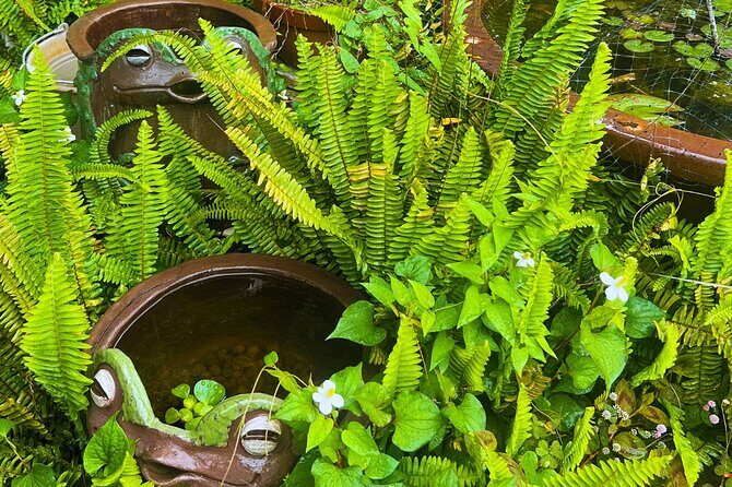 Tokoname 4.5 Hr Walking Tour Pottery Streets Kilns and Traditions - Practical Aspects and Value Considerations