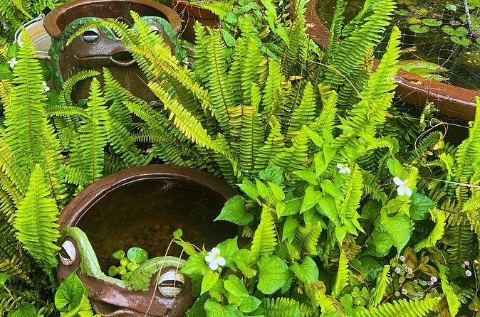 Tokoname 4.5 Hr Walking Tour Pottery Streets Kilns and Traditions - Authentic Highlights and Traveler Insights