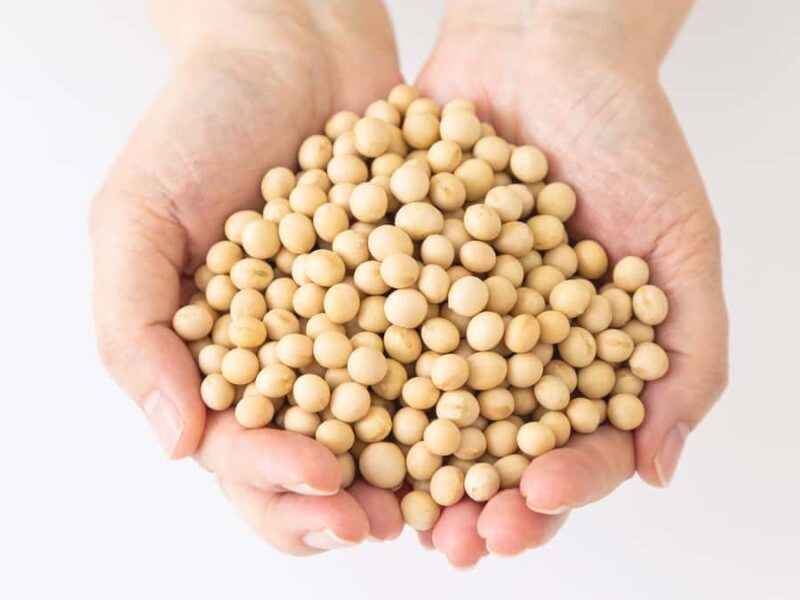 Tokoname: Miso Brewery Tour with Tasting - The Sum Up