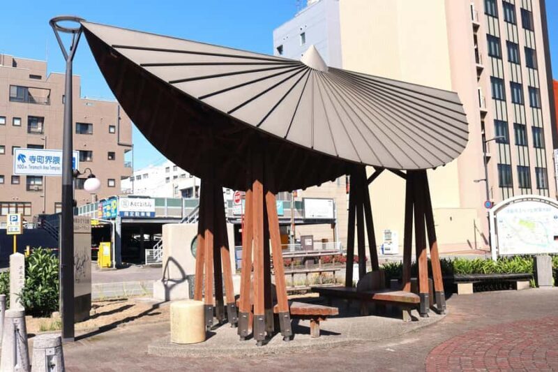 Tokushima: Awa Odori Cultural Experience & Live Performance - Who Will Love This Experience?