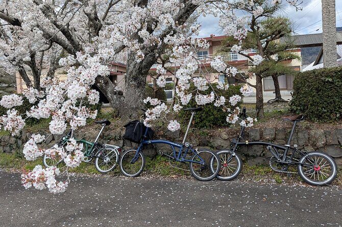 Tokushima Cycling Tour to Riverside Town and Indigo Dyeing - A Closer Look at the Tour Itself