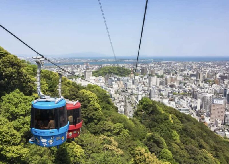 Tokushima Private Custom Tour with Local Guide - Key Points