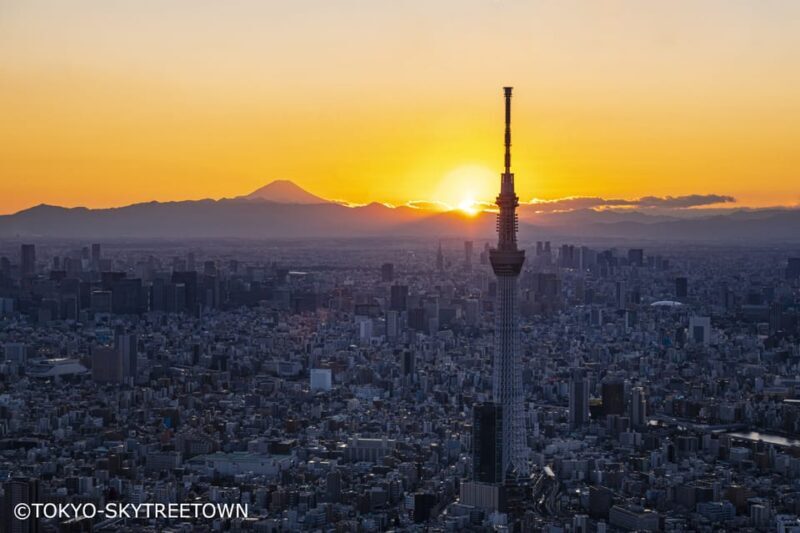 Tokyo: 1 Day Bus Tour with Meiji-Jingu,Odaiba,lunch&Skytree - Who Should Consider This Tour?