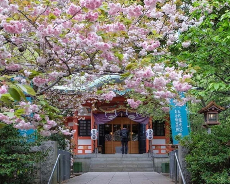 Tokyo: 1-hour Tokyo Tower Scenic Rickshaw Adventure - Verifying the Value