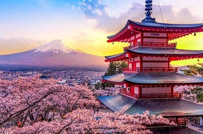 Tokyo 10-Hour Arakurayama, Oishi Park & Lake Yamanaka Group Tour - The Sum Up: Who Will Love This Tour?